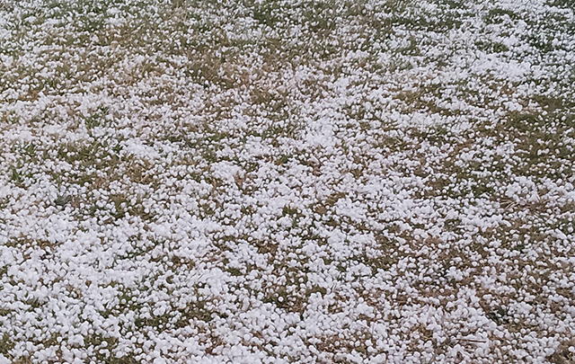 MEDIDAS DE PREVENCIÓN ANTE LA CAÍDA DE GRANIZO – AEN1.COM